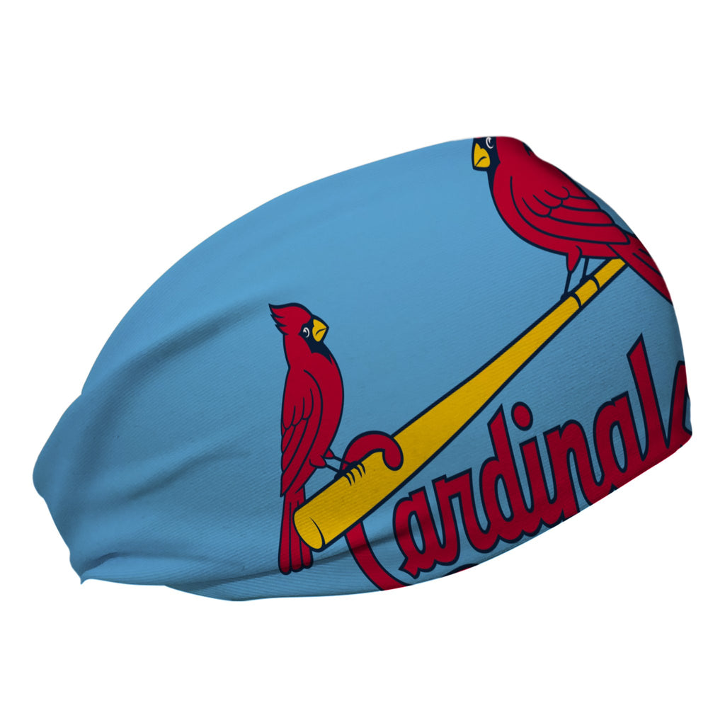 Cardinals Logo Blue Beak